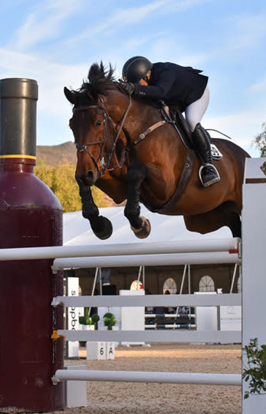 Gallery | Aspen Hill Farm