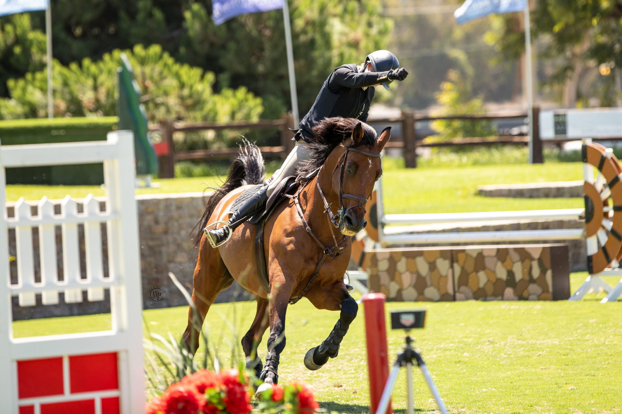 Gallery | Aspen Hill Farm