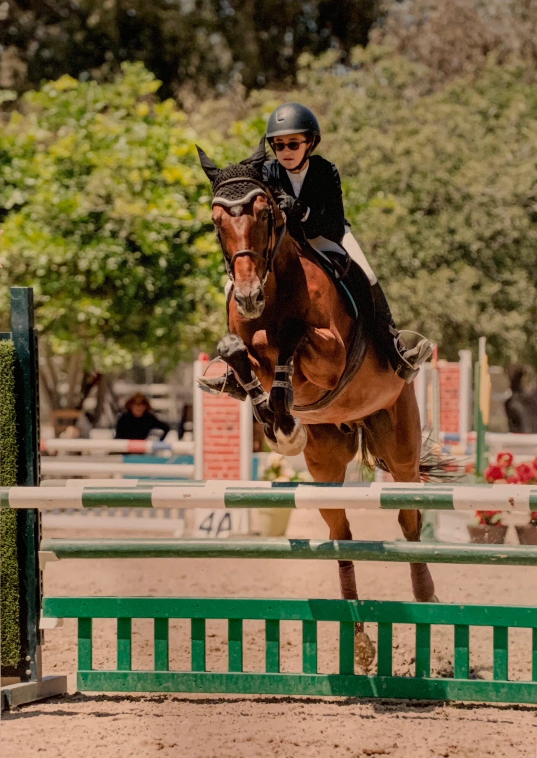 Gallery | Aspen Hill Farm